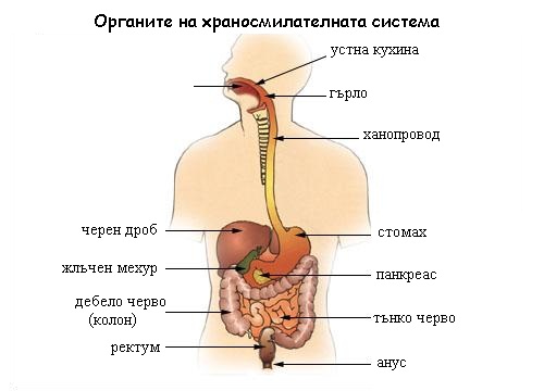 Сдружение на пациентите с ГИСТ в България